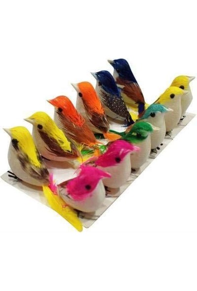 Nettenevime Yapay Renkli Kuş Serçe 10 cm 12 Adet Li Kutu