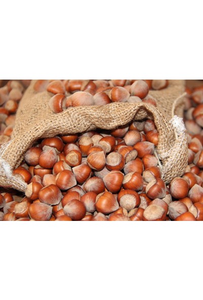 Tarladan Tarım Giresun Kabuklu Fındık 1 kg Tarladan Tarım Giresun Kabuklu Fındık 1 kg