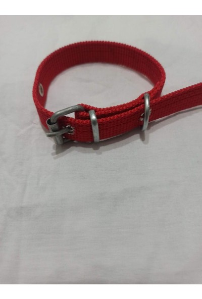 Kozak Kedi ve Yavru Köpek Tasmasi Boy 39 cm En 2 cm Kozak Kedi ve Yavru Köpek Tasmasi Boy 39 cm En 2 cm
