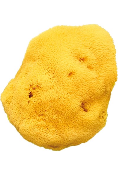 Okbaby Ince Dokulu Doğal Banyo Süngeri / Büyük