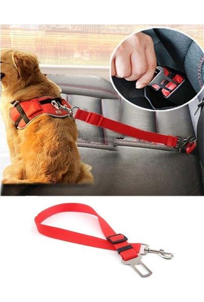 Kitchen Beauty Evcil Hayvan Araç Emniyet Kemeri Kedi Köpek Araba Oto Tasması Oto Aksesuarı Kedi Köpek Kitchen Beauty Evcil Hayvan Araç Emniyet Kemeri Kedi Köpek Araba Oto Tasması Oto Aksesuarı Kedi Köpek