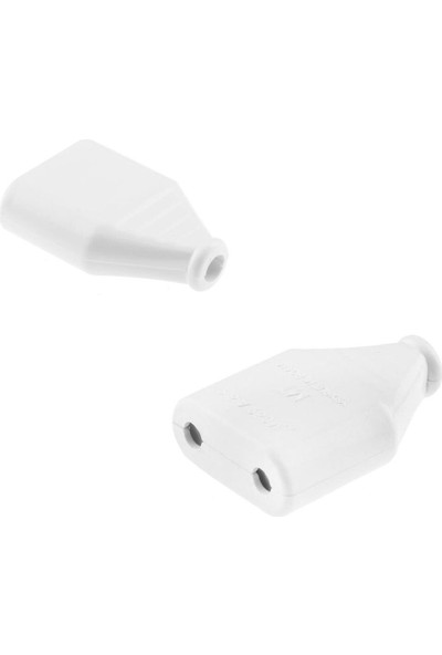 Radsan Yassı Topraksız Dişi Fiş