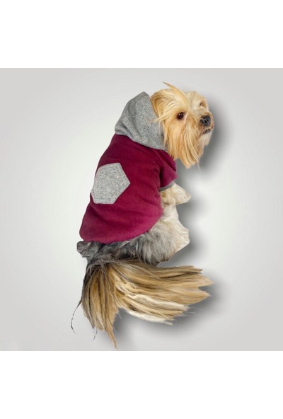 Kemique Burgundy Gray Kapşonlu Sweatshirt Köpek Kıyafeti