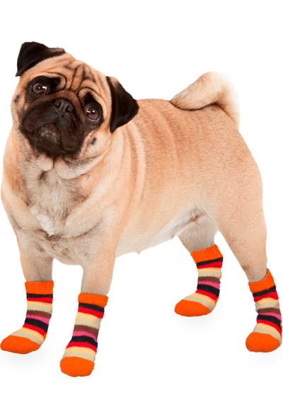 Karlıe Köpek Çorabı S 2li