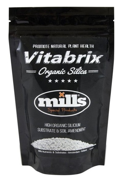 Organic Silica 300 gr