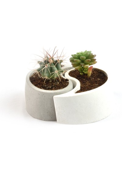 Kutnium Silk & Accessories Zen Dekoratif Sukulent & Beton Saksı - Gri Kutnium Silk & Accessories Zen Dekoratif Sukulent & Beton Saksı - Gri