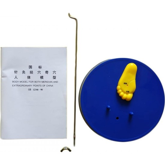 Esilay Shop Akupunktur Insan Modeli Tam Boy 50 cm Fiyatı Esilay Shop Akupunktur Insan Modeli Tam Boy 50 cm Fiyatı