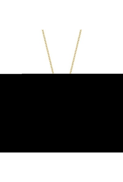 Altın Pati Zirkon Taşlı Kelebek Kolye Altın Pati Zirkon Taşlı Kelebek Kolye