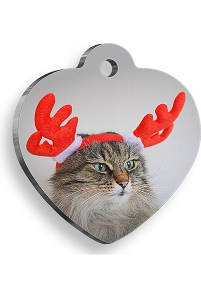 Altın Pati Deer Cat Kalp Kedi Künyesi Altın Pati Deer Cat Kalp Kedi Künyesi
