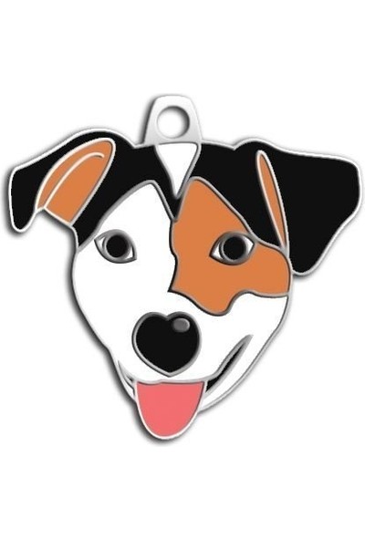 Altın Pati Jack Russel Köpek Künyesi