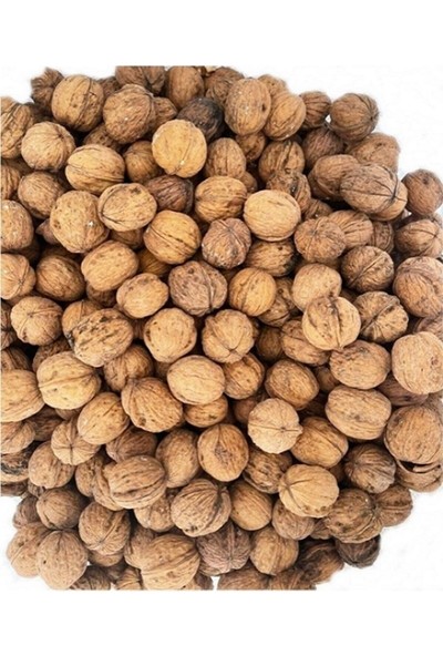 Gedemenli Kahramanmaraş Kabuklu Ceviz 1 kg Gedemenli Kahramanmaraş Kabuklu Ceviz 1 kg