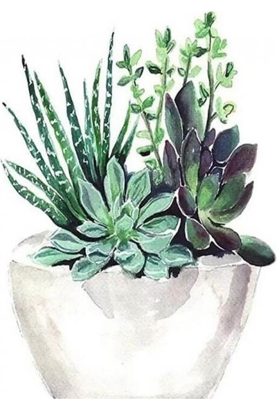 Shoecide Saksıdaki Çiçekler Sayılarla Boyama Seti - Rulo 40 x 50 cm