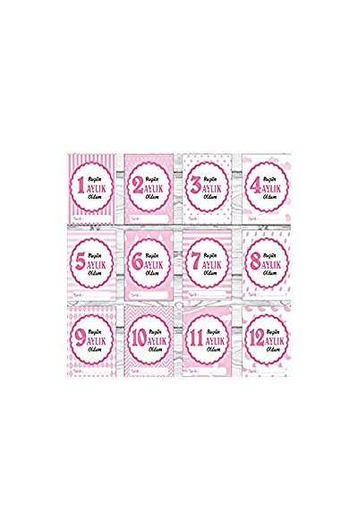 Esc Hamile Anne Bebek Anı Fotoğrafları Pembe 12 Li Esc Hamile Anne Bebek Anı Fotoğrafları Pembe 12 Li