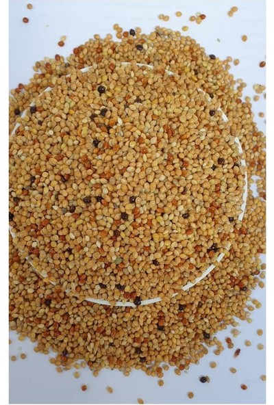 Malatya Yem Karışık Muhabbet Kuşu Yemi -25 kg