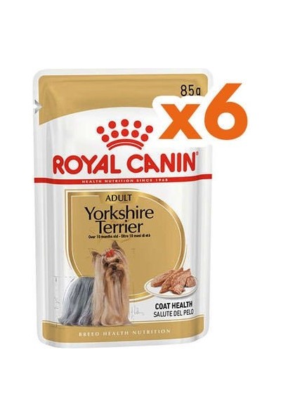 Royal Canin Pouch Yorkshire Terrier Irkı Özel Yaş Köpek Maması 85 gr x 6 Adet Royal Canin Pouch Yorkshire Terrier Irkı Özel Yaş Köpek Maması 85 gr x 6 Adet