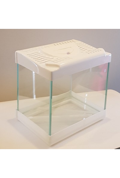 Gym Cat&Dog Lüx Ev Ofis Cam(4mm) Mini Akvaryum (20 x 20 cm Beyaz)