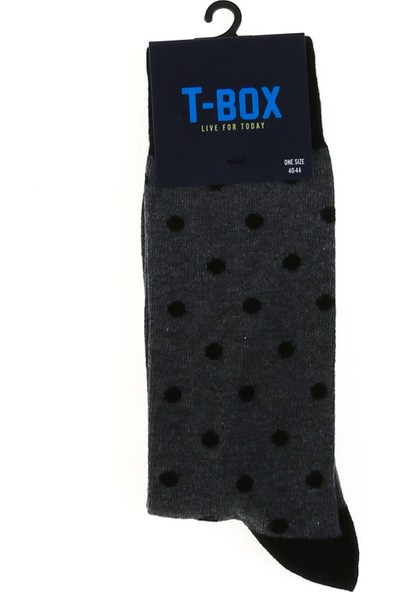 T-Box Noktalı Lacivert Erkek Çorap T-Box Noktalı Lacivert Erkek Çorap