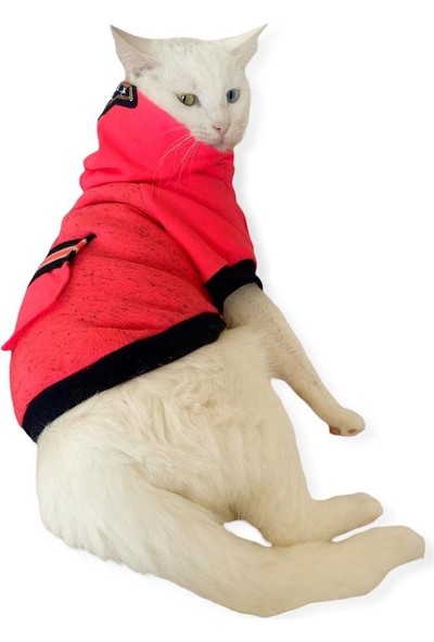 Kemique Pink Stars Kapşonlu Sweatshirt Kedi Kıyafeti Kemique Pink Stars Kapşonlu Sweatshirt Kedi Kıyafeti