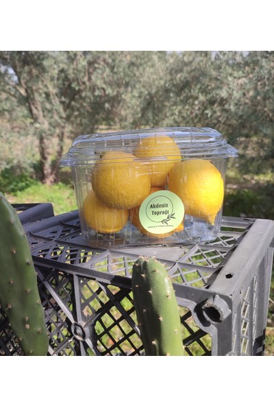 Akdeniz Toprağı Limon 3 kg
