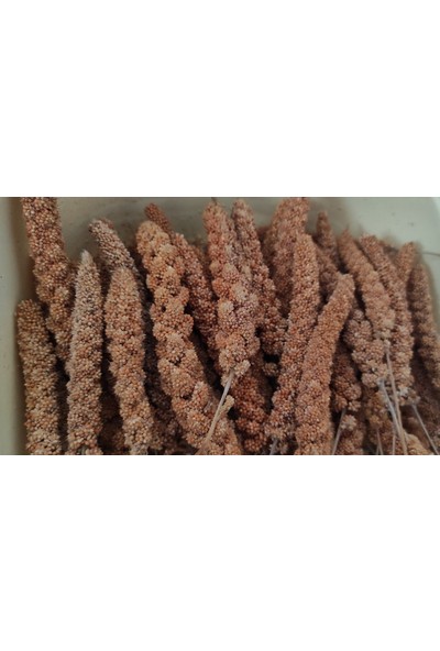 Eren Pet Doğal Üretim Kızıl Dal Darı (500 Gr.)