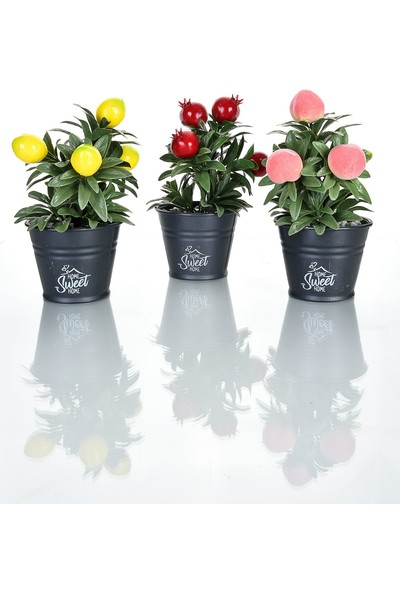 Takım Mini Meyve Ağacı Seti 3'lü Takım Mini Meyve Ağacı Seti 3'lü