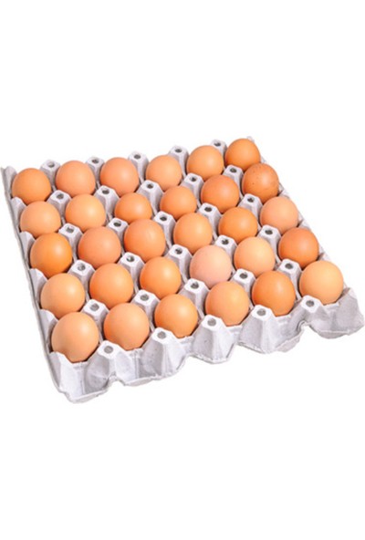 Ege Masalı 30'lu Gezen Tavuk Yumurtası