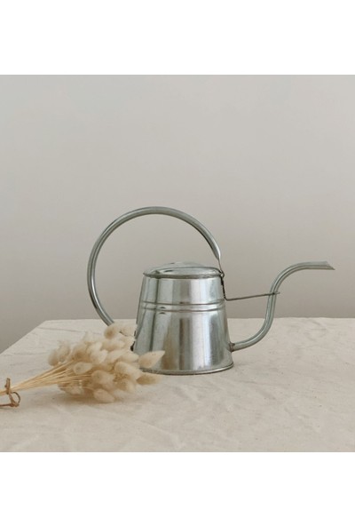 Dekorz Dükkan Galvaniz Bitki Sulama Kabı Dekorz Dükkan Galvaniz Bitki Sulama Kabı