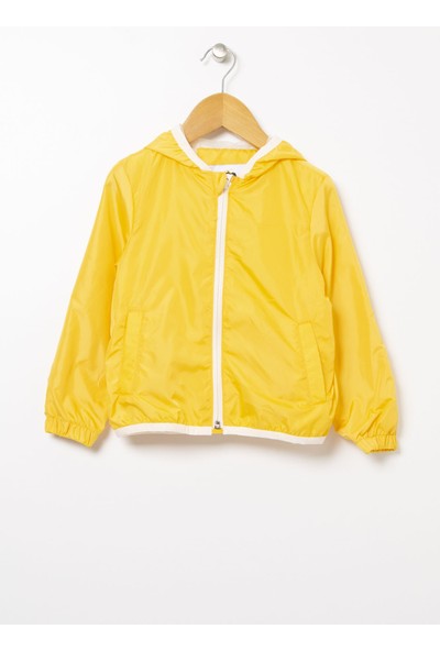 Limon Mont, 13-14 Yaş, Sarı