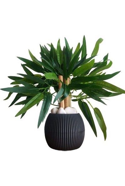 Botanik Bahçesi Yapay Bambu Ağaci Sukulent Gri̇ Antrasi̇t Saksida 30 cm Boyunda Bambu Çi̇çek Botanik Bahçesi Yapay Bambu Ağaci Sukulent Gri̇ Antrasi̇t Saksida 30 cm Boyunda Bambu Çi̇çek