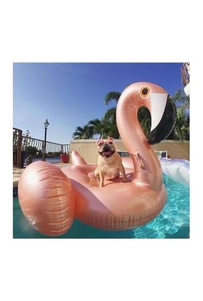 Bestway 11104 Rose Altın Flamingo 150CM