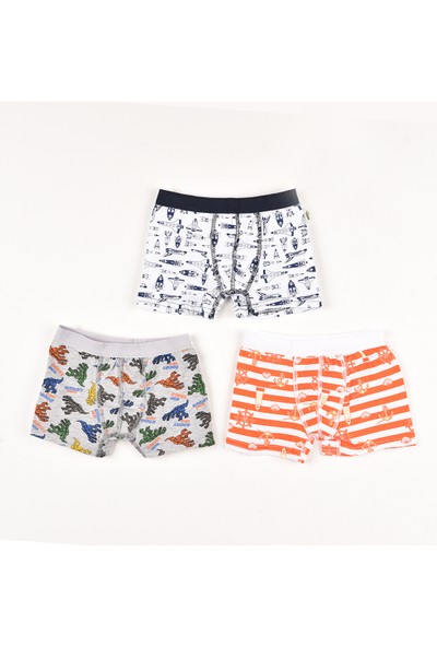 Adn Kids Erkek Boxer Üçlü Takım-Çok Renkli