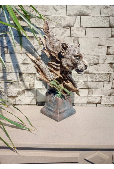 Ankara Hobi Kaideli Soyut Puma