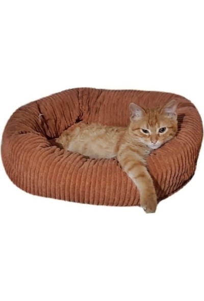 Patili Evler Orange Kedi Yatağı 35X45 cm