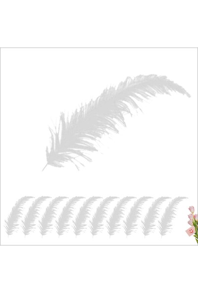 Şeffaf Balon Içi Kuş Tüyü, 100 Adet - Beyaz