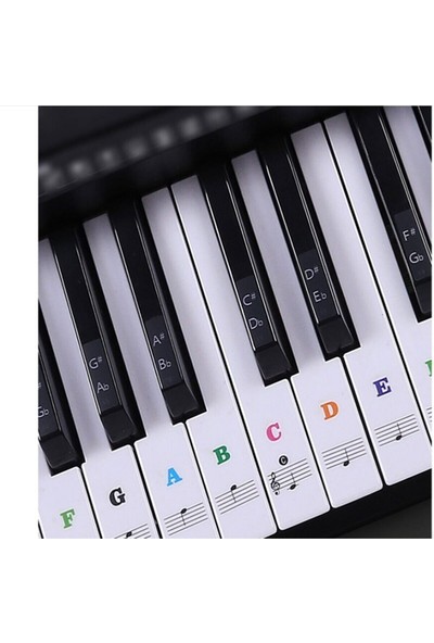 Happypotam Piyano Öğrenme Sticker ve Etiketleri Renkli ve Renksiz 88 Tuş