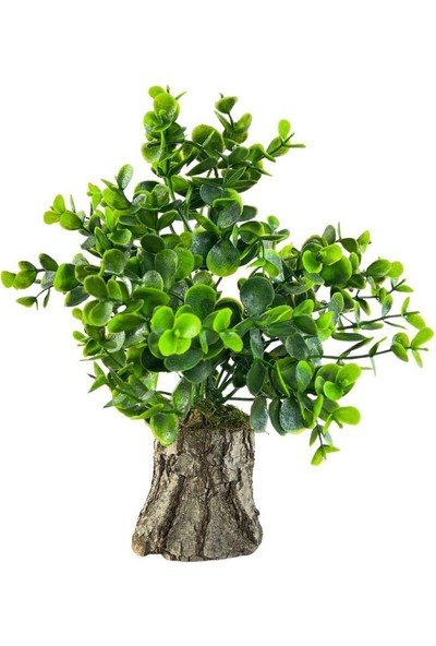 Nettenevime Yapay Çiçek Doğal Kütük Odun Saksıda Şimşir Okaliptus Masa Çiçeği Nettenevime Yapay Çiçek Doğal Kütük Odun Saksıda Şimşir Okaliptus Masa Çiçeği