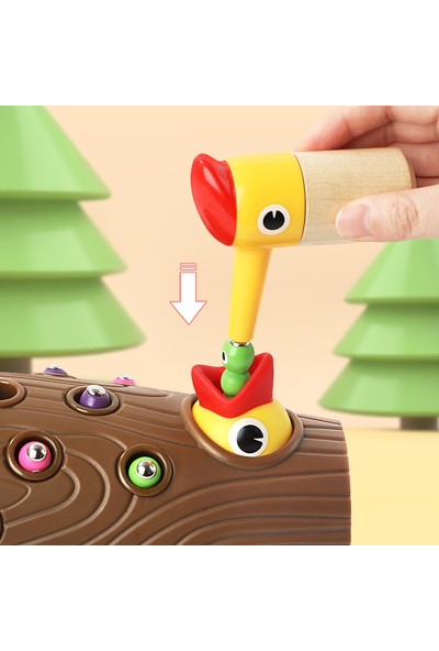 Ağaçkakan Besleme Oyunu Ağaçkakan Besleme Oyunu