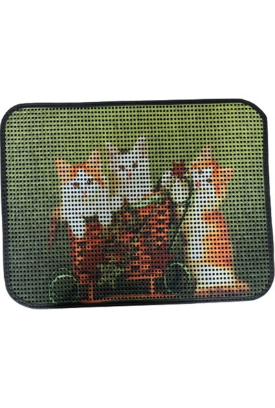 Rehome Kum Hazneli Tüy Toplayıcı Kedi Paspası 60 x 45 cm 43