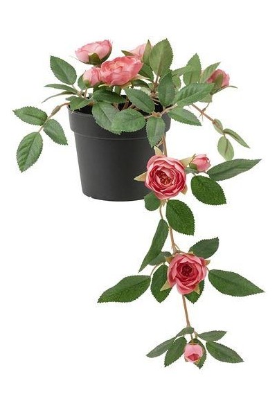 IKEA Yapay Pembe Sarkıt Gül Çiçeği Ikea 9cm Saksılı Pembe Renkli Sarkıt Gül Iç Dış Mekan