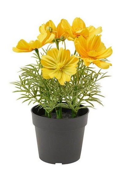 IKEA Yapay Sarı Yaz Çiçeği Ikea 9cm Saksılı Sarı Renkli Bitki Iç Dış Mekan