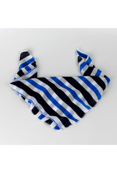 Kt-Mavi Beyaz Siyah Çizgili Tasarım Fular