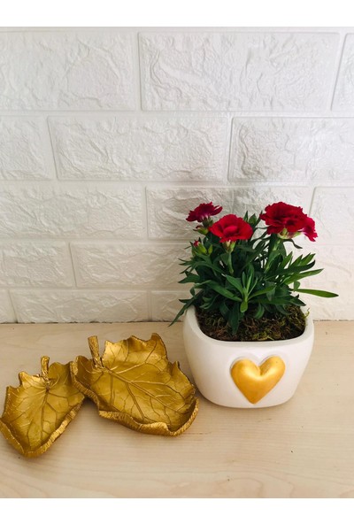 Mürsel Dekoratif Saksı Içerisinde Karanfil ve Ikili Gold Yaprak Ojbe Mürsel Dekoratif Saksı Içerisinde Karanfil ve Ikili Gold Yaprak Ojbe