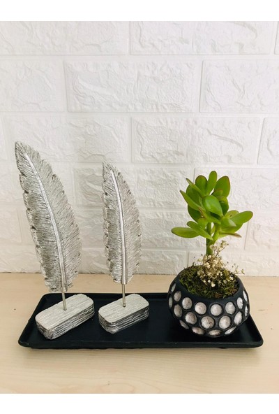 Mürsel Dekoratif Saksıda Para Çiçeği ve Dekoratif Yaprak Objeleri Mürsel Dekoratif Saksıda Para Çiçeği ve Dekoratif Yaprak Objeleri