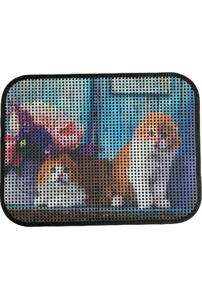 Rehome Kum Hazneli Tüy Toplayıcı Kedi Paspası 60X45 cm 39 Rehome Kum Hazneli Tüy Toplayıcı Kedi Paspası 60X45 cm 39