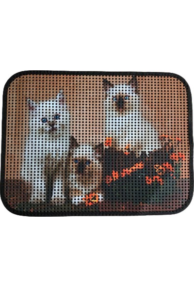 Rehome Kum Hazneli Tüy Toplayıcı Kedi Paspası 60X45 cm 41 Rehome Kum Hazneli Tüy Toplayıcı Kedi Paspası 60X45 cm 41