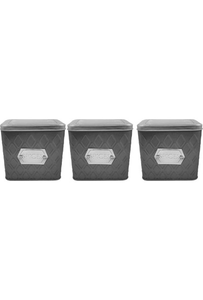 Blumest 1 No 12 cm. 3'lü Gri Gümüş Kavanoz Saklama Seti Blumest 1 No 12 cm. 3'lü Gri Gümüş Kavanoz Saklama Seti