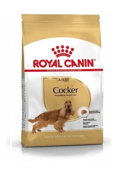 Royal Canin Cocker Irkına Özel Köpek Maması 3 kg Royal Canin Cocker Irkına Özel Köpek Maması 3 kg