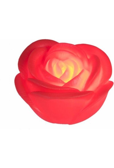 Ega Toptan LED Işıklı Gül Romantik Gül