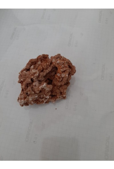 Melikşah Akvaryum Makarna Kaya 10-30 cm