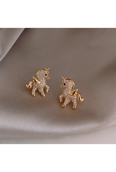 Dream Home Kadınlar Için 1 Çift Küpe (Yurt Dışından)